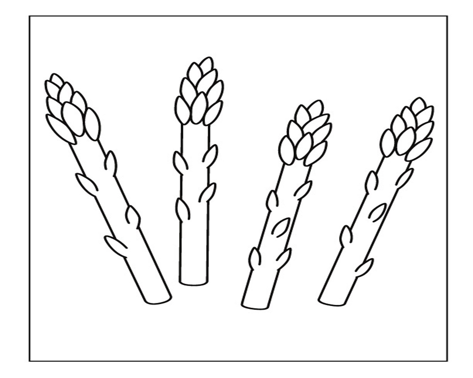 10 Colouring Pages Adult Colouring Book Colouring In Etsy