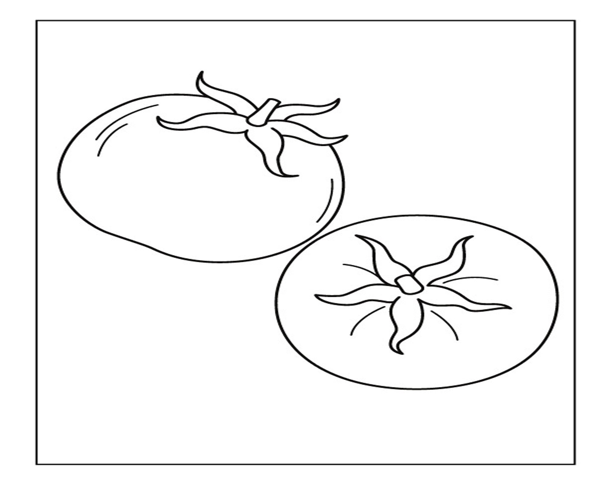 10 Colouring Pages Adult Colouring Book Colouring In Etsy