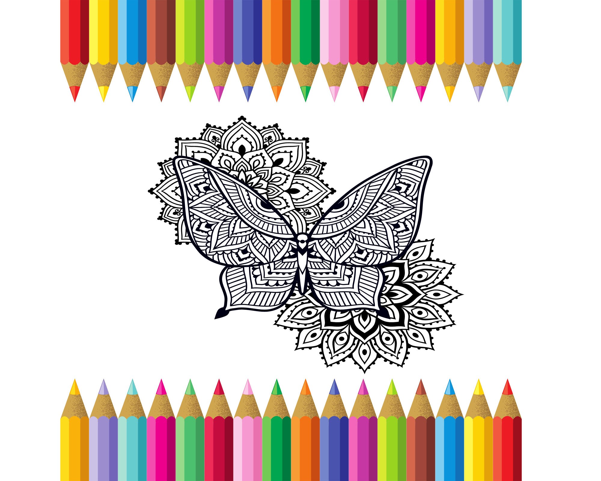10 Colouring Pages, Adult Colouring Page, Butterfly Colouring Book ...
