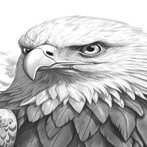 15 Colouring Pages, Birds Colouring Pages, Kids Colouring Book, Digital ...