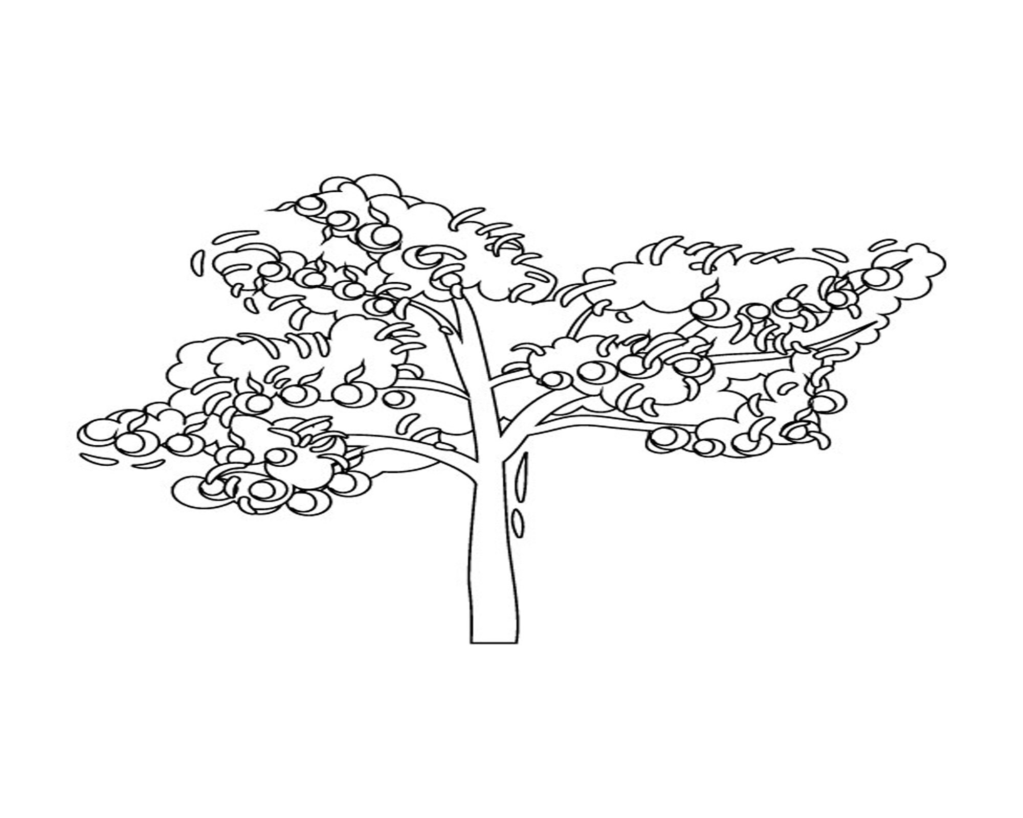 5 Pages Colouring Book, Tree Colouring Book, Mindful Colouring ...