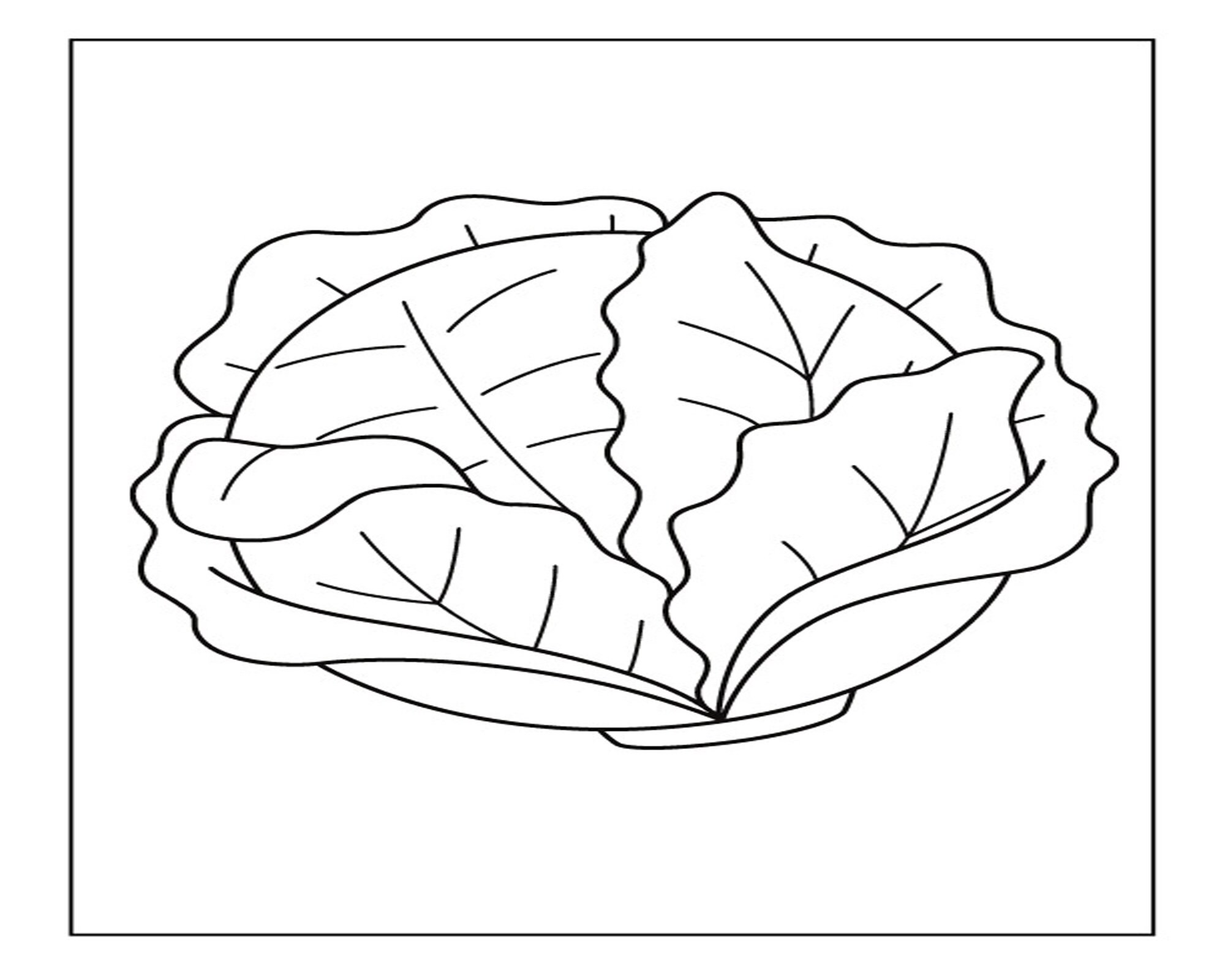 10 Colouring Pages Adult Colouring Book Colouring In Etsy