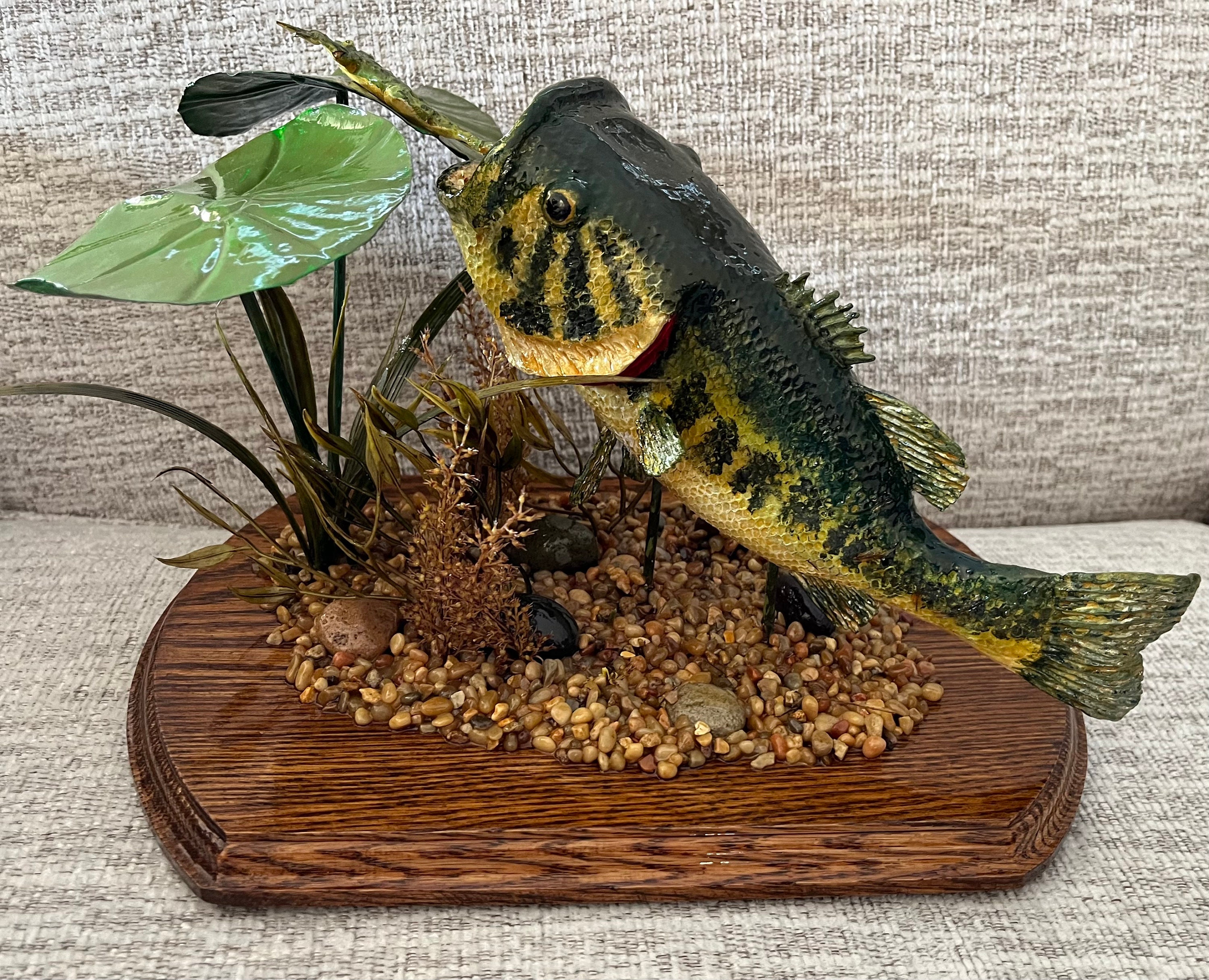 Largemouth Bass, Woodcarving, Handmade, Original, Fish, Art Sculpture ...