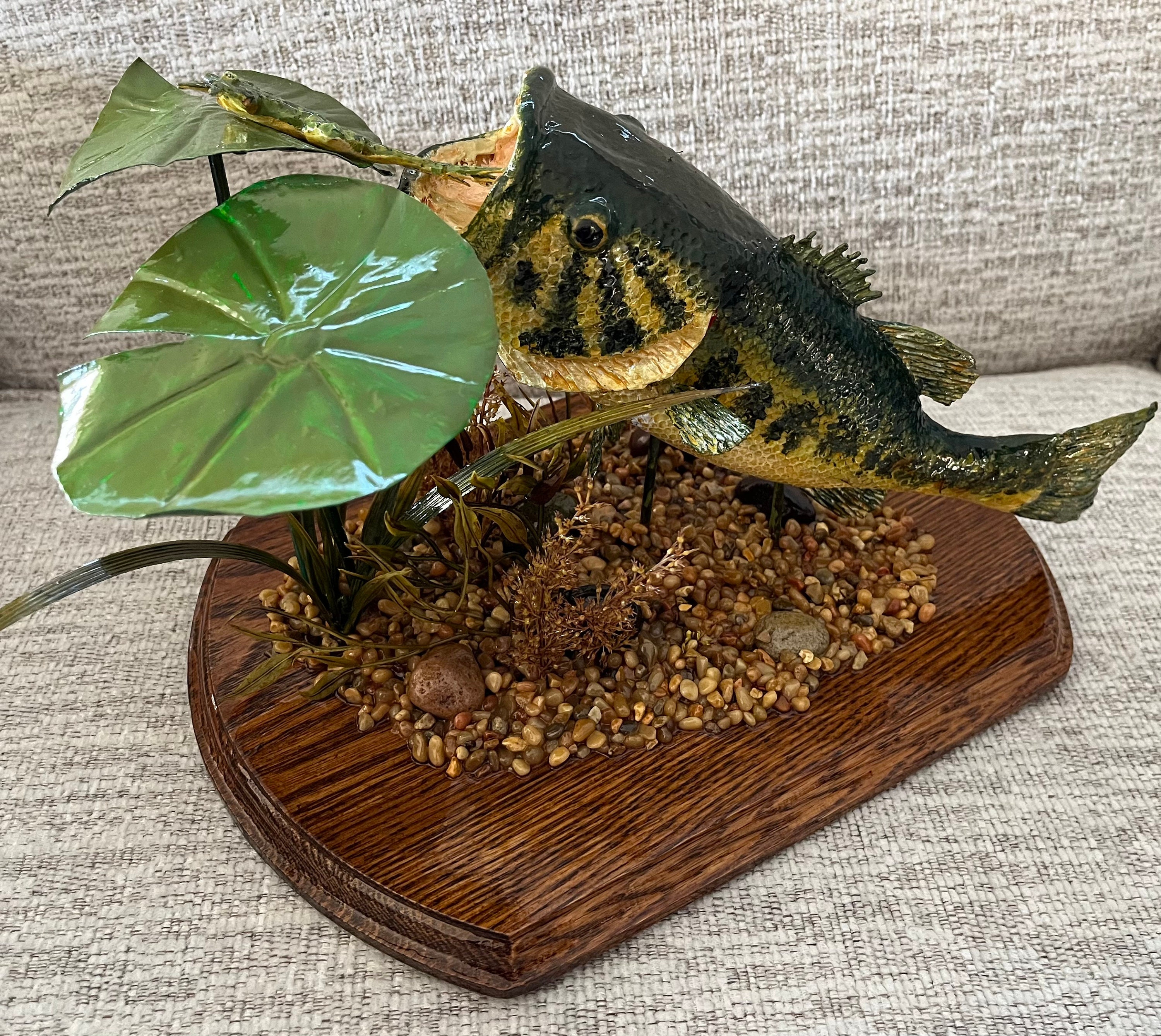Largemouth Bass, Woodcarving, Handmade, Original, Fish, Art Sculpture ...