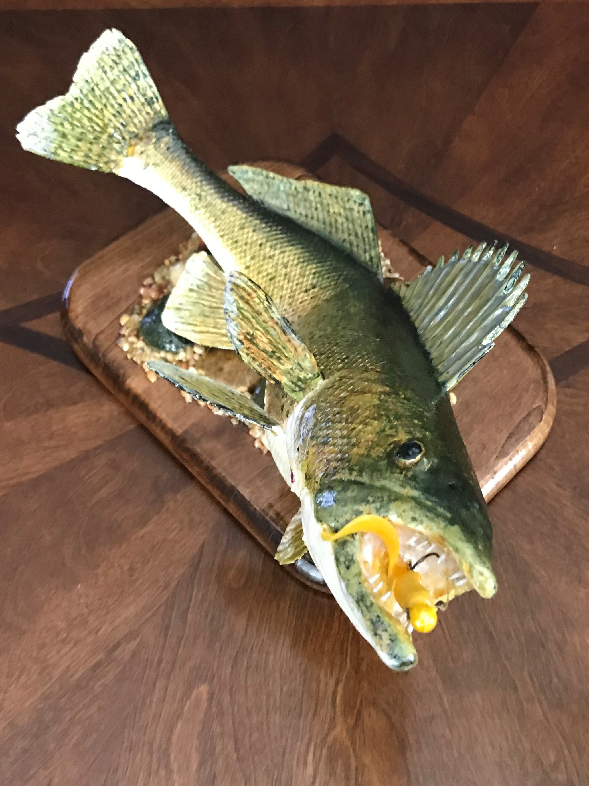 Walleye, Aquatic Animals, Freshwater Fish, Game Fish, Northern Pike ...