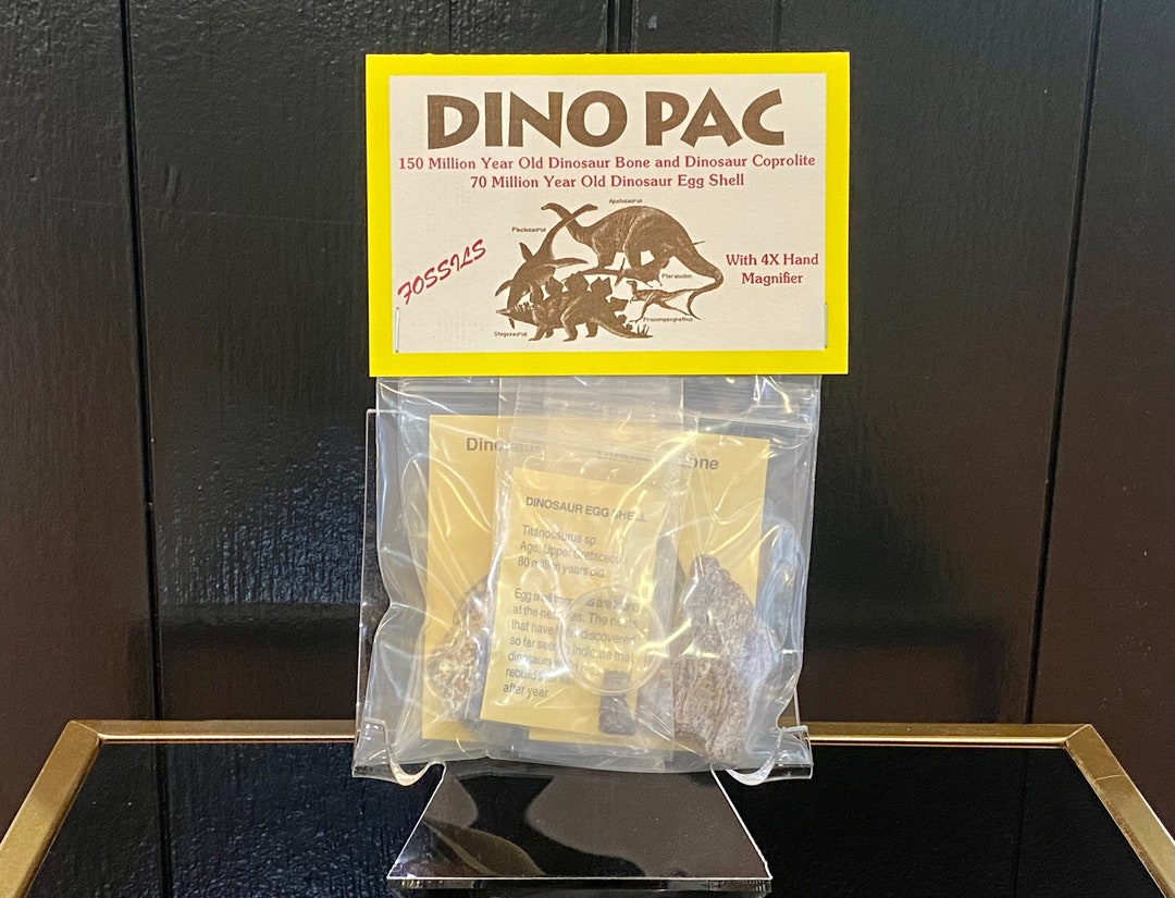 Dinosaur Fossil Pack Dino Pack 150 Million Year Old - Etsy
