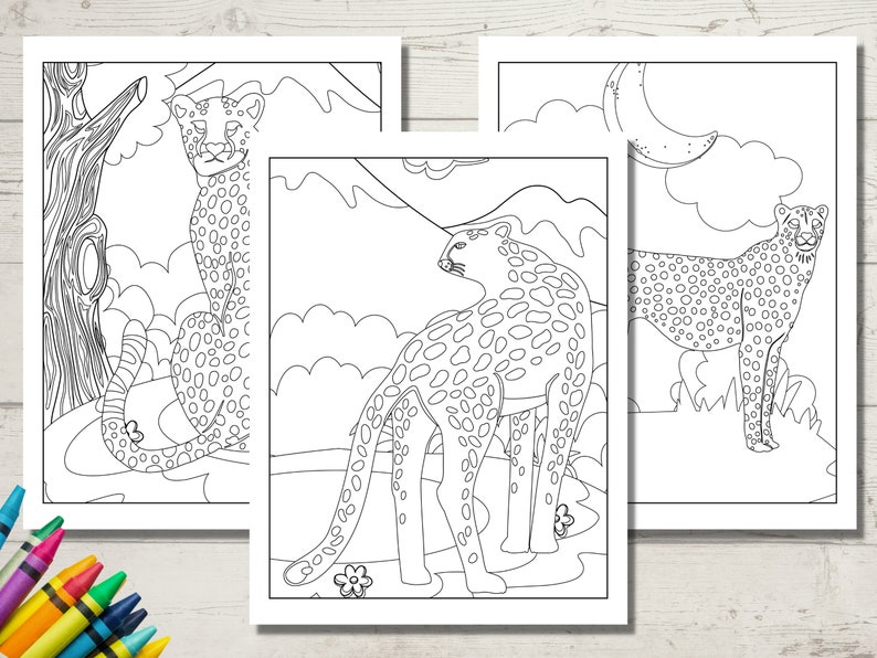 Cheetah Coloring Book, Adult Coloring Book, Cheetah Gifts, Custom ...