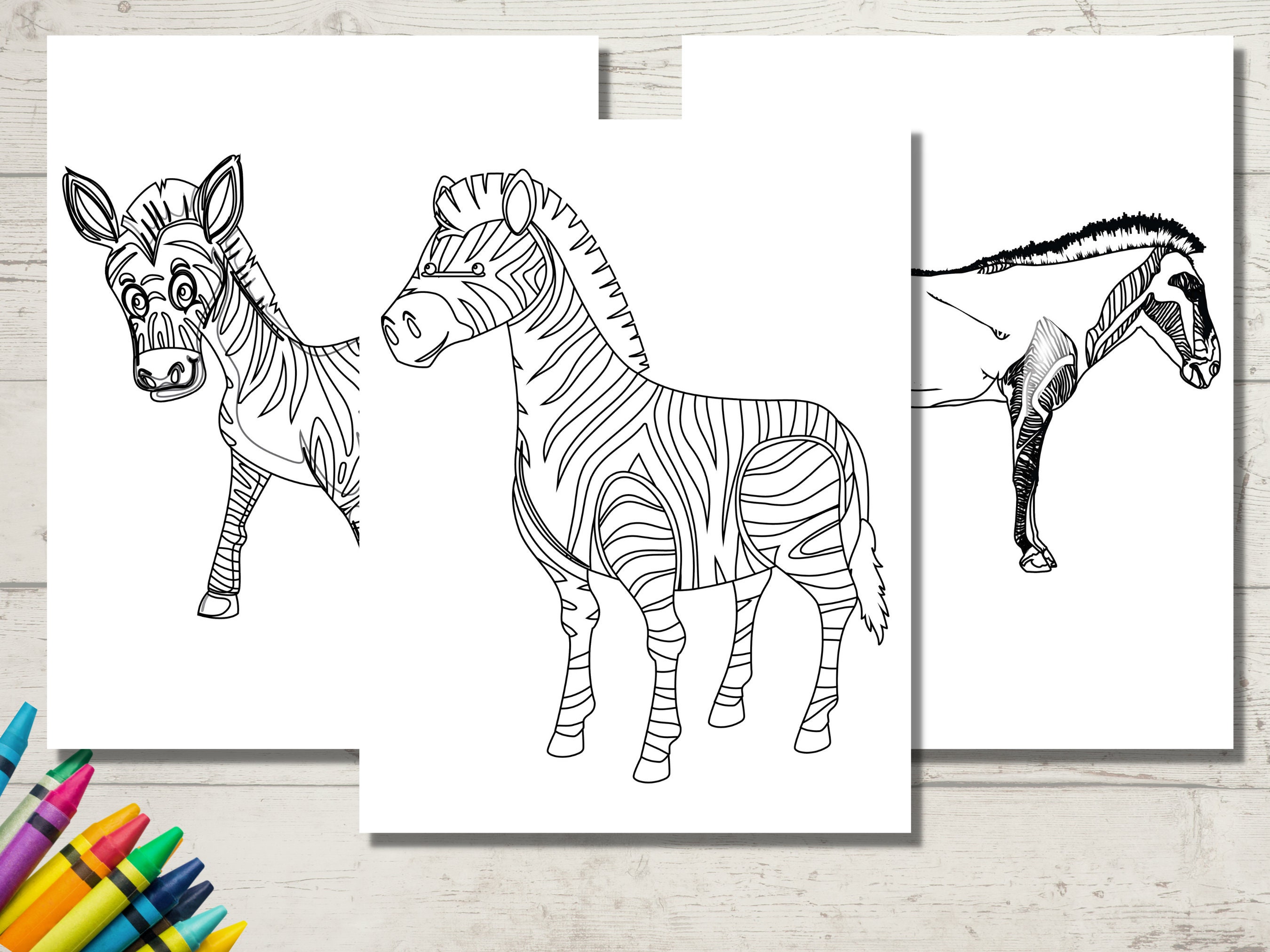 Zebra Coloring Book Adult Coloring Book Zebra Gifts Custom - Etsy