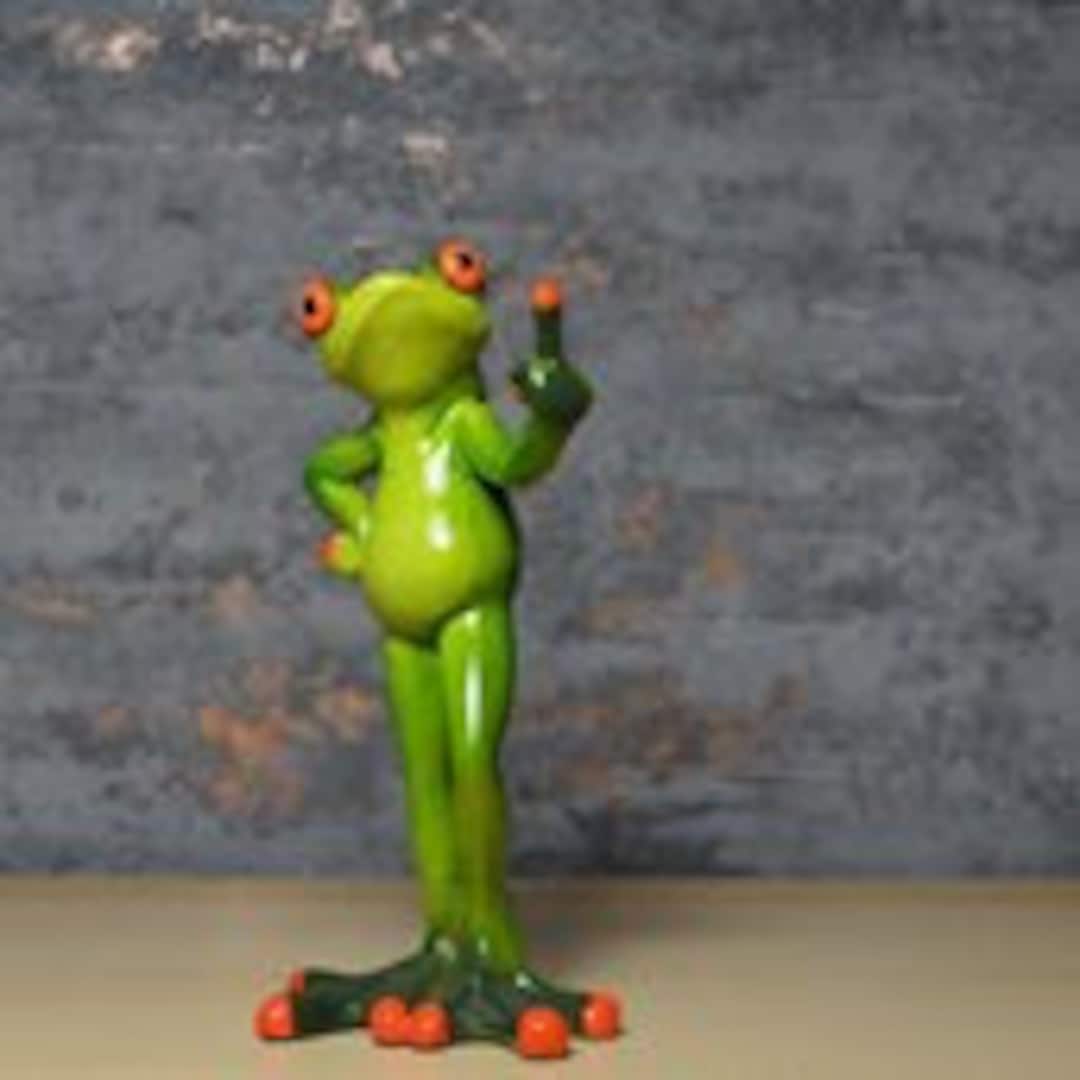 Comical Frog Middle Finger Figurine Shelf Decor Anniversary Gift - Etsy
