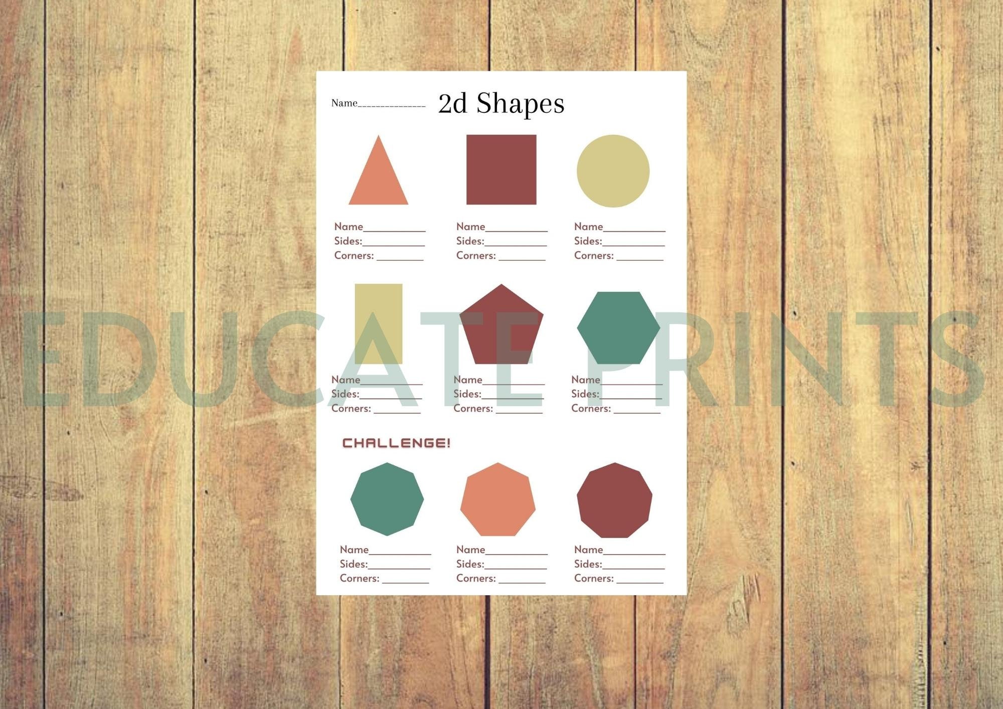 Differentiated 2D 3D Worksheets Teaching Resources Educate - Etsy