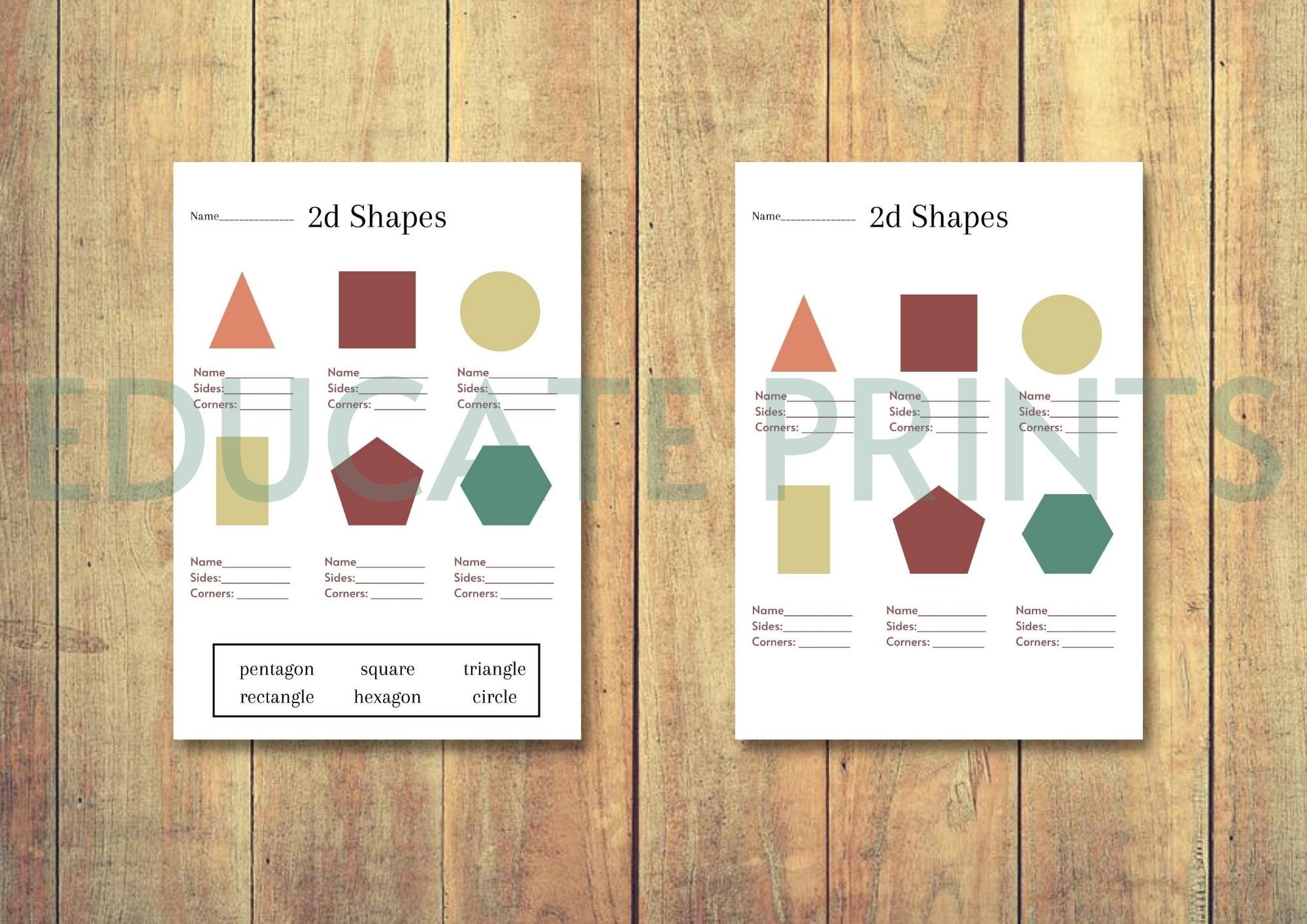 Differentiated 2D 3D Worksheets Teaching Resources Educate - Etsy