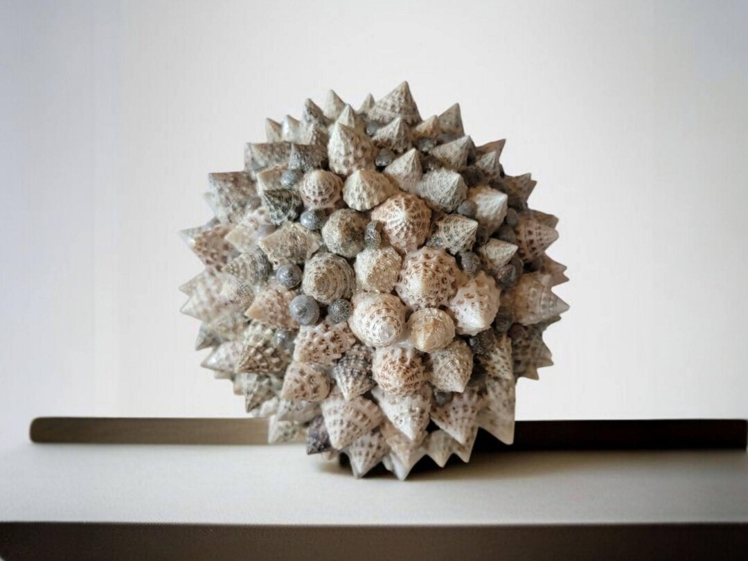 Vintage Decorative Seashell Ball Sculpture Hand Crafted Spherical Shape ...
