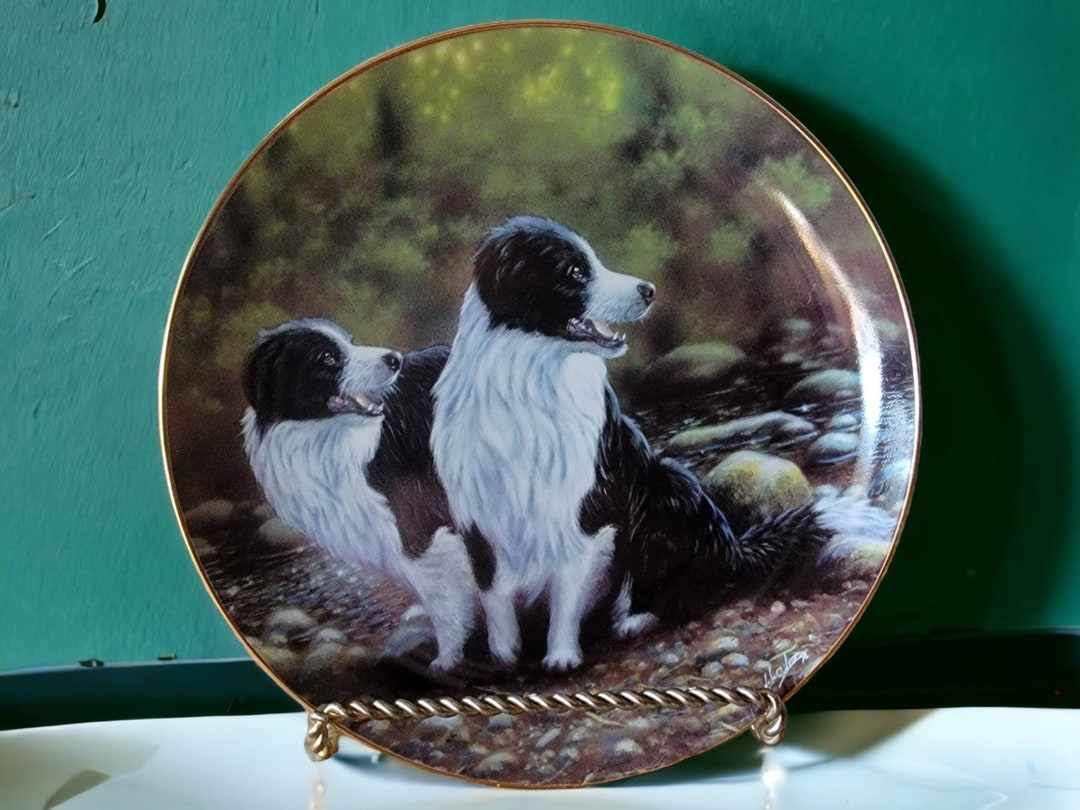 Double Take Border Collies Porcelain Plate by John Siler the - Etsy