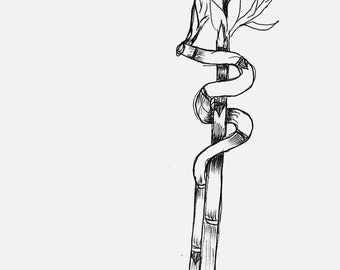 Twisted Bamboo Plant - Etsy