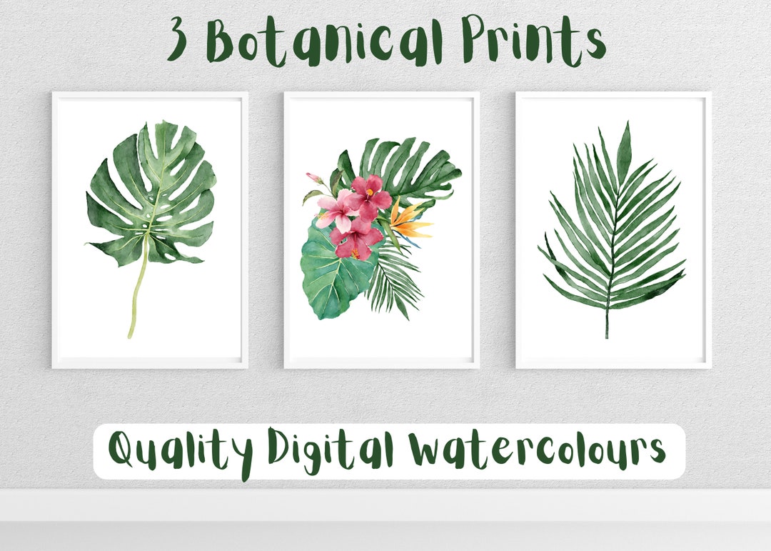 Set of 3 Botanical Prints | Printable Botanical Prints | Watercolour ...