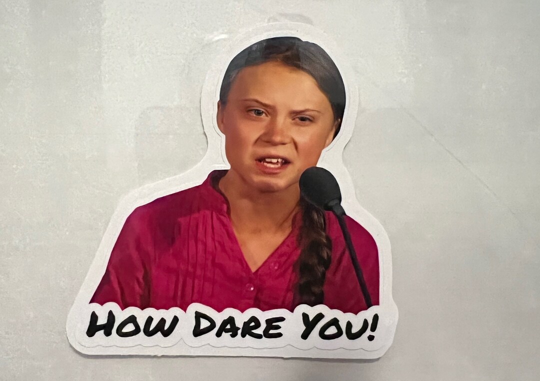 Funny 4” Greta How Dare You! Sticker - Etsy