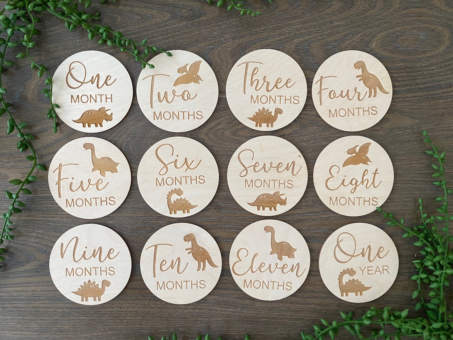 Wood Month Discs Milestone Discs Dinosaur Monthly Discs - Etsy