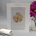 Real Pressed Flower Note Cards With Handmade Paper Random Design ...