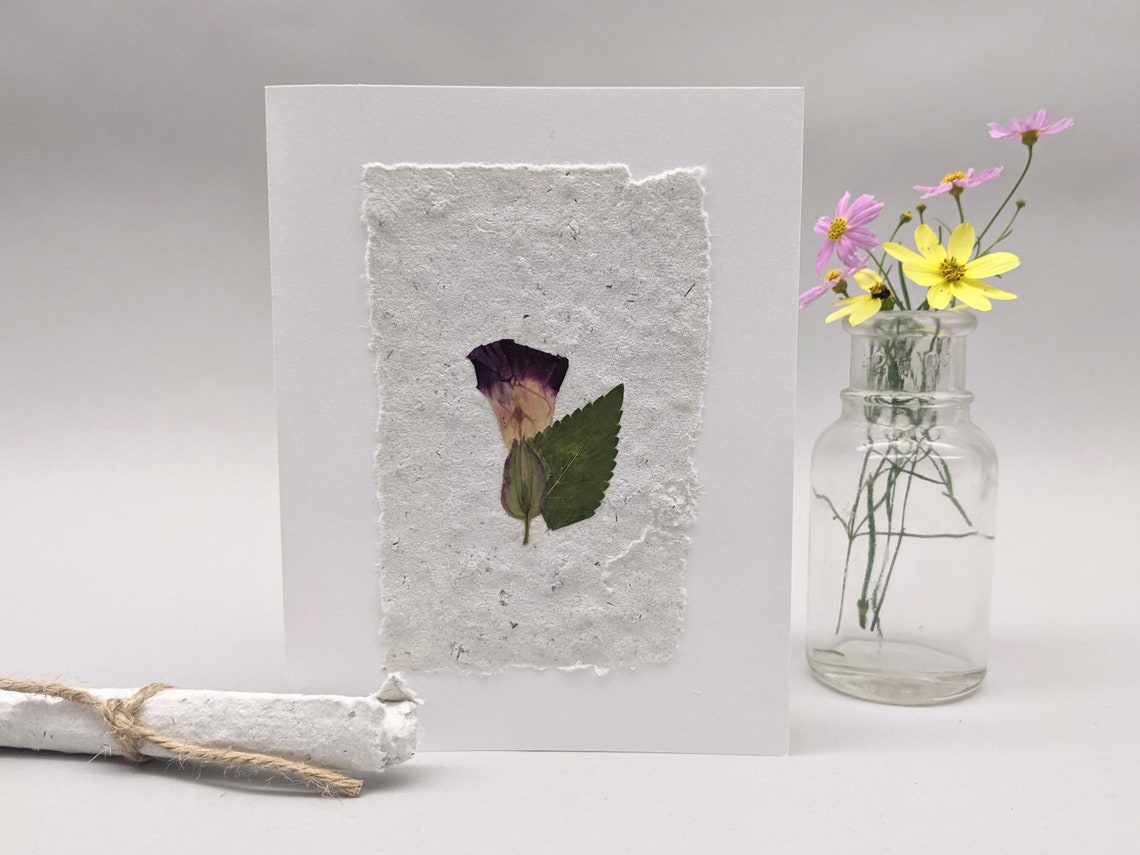 Real Pressed Flower Note Cards With Handmade Paper Random - Etsy
