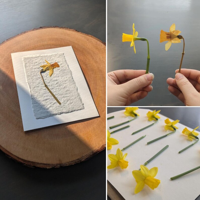 Pressed Flower Note Cards: Handmade Recycled Paper Greeting Cards (pack ...
