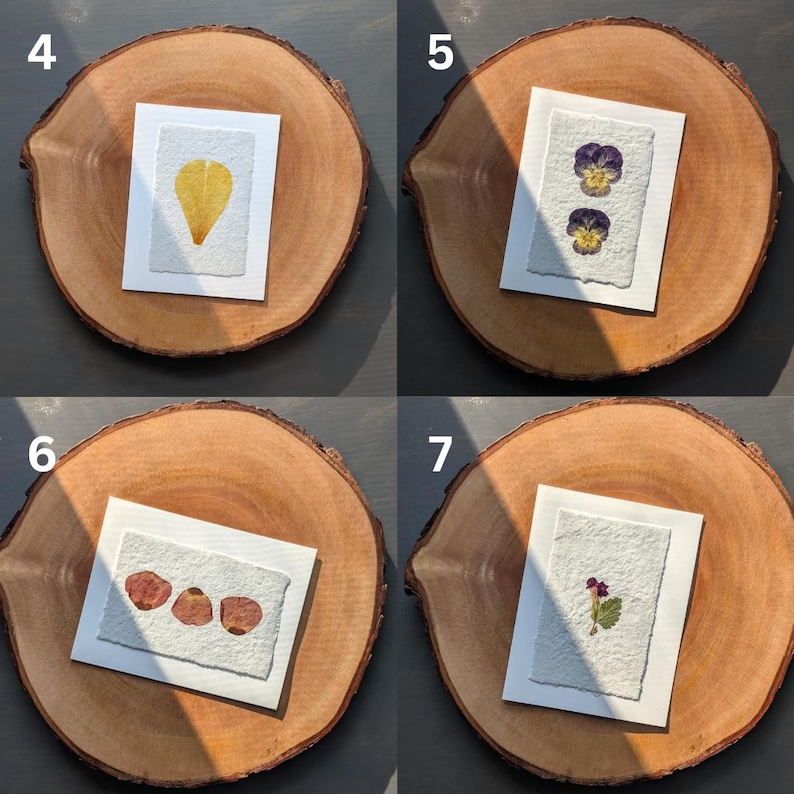 Pressed Flower Note Cards: Handmade Recycled Paper Greeting Cards (pack ...