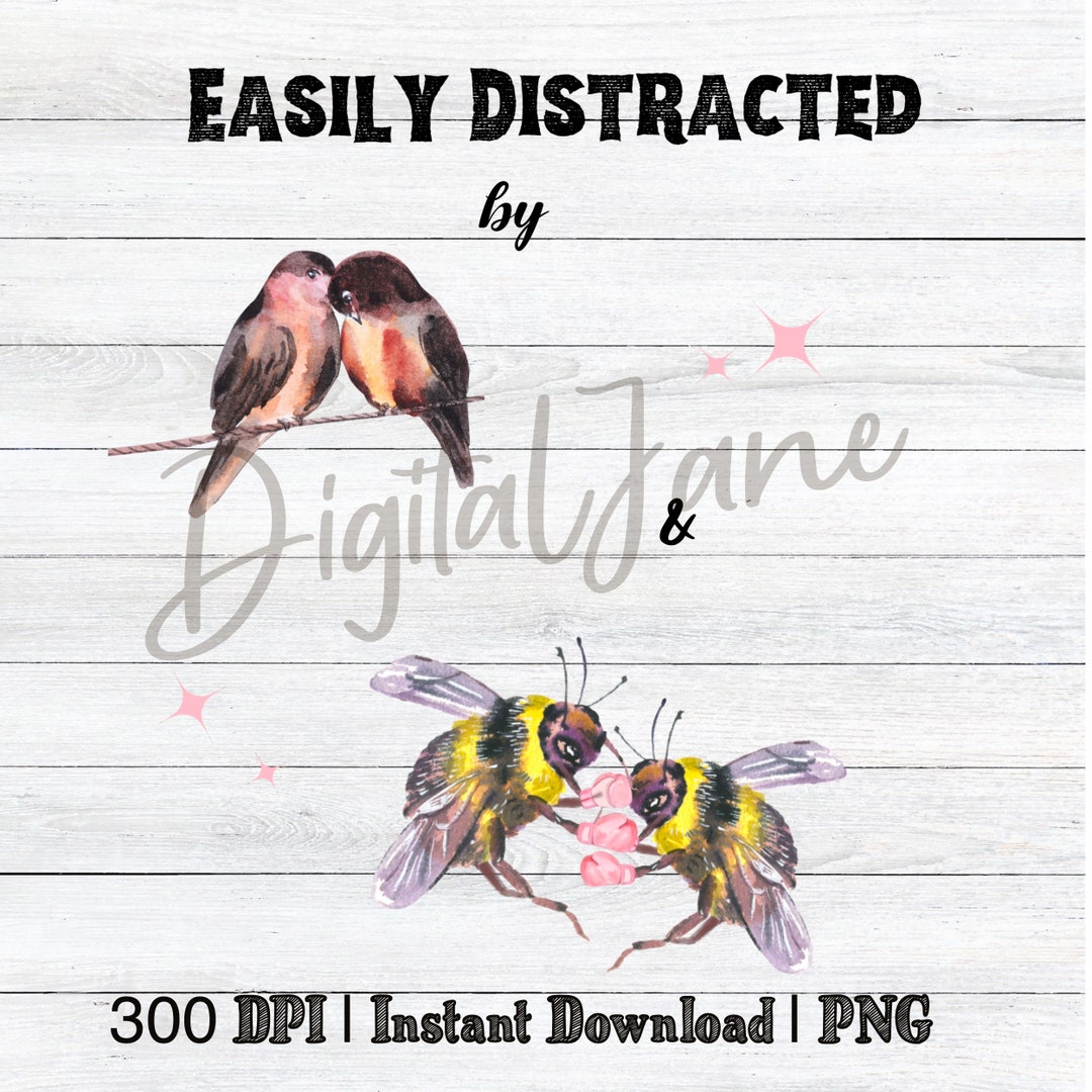 Funny Birds and Bees Meme PNG: Distracted Animal Design (digital ...