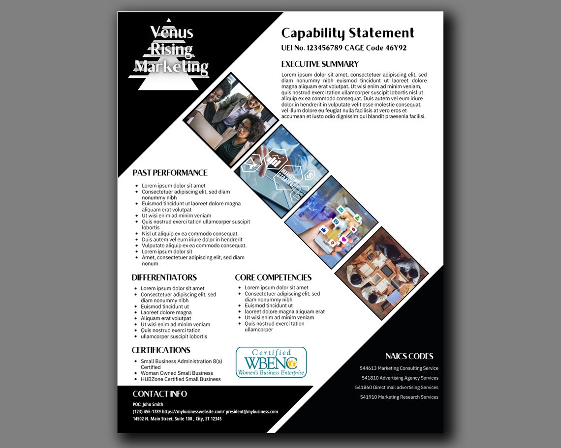 Government Proposal Canva Template: Marketing Capability Statement - Etsy