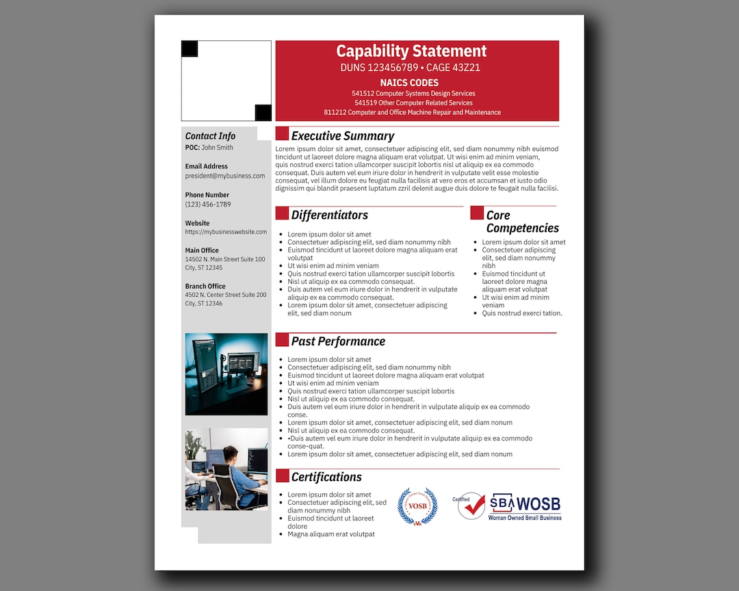 IT Capability Statement Template: Government Marketing (canva Editable ...