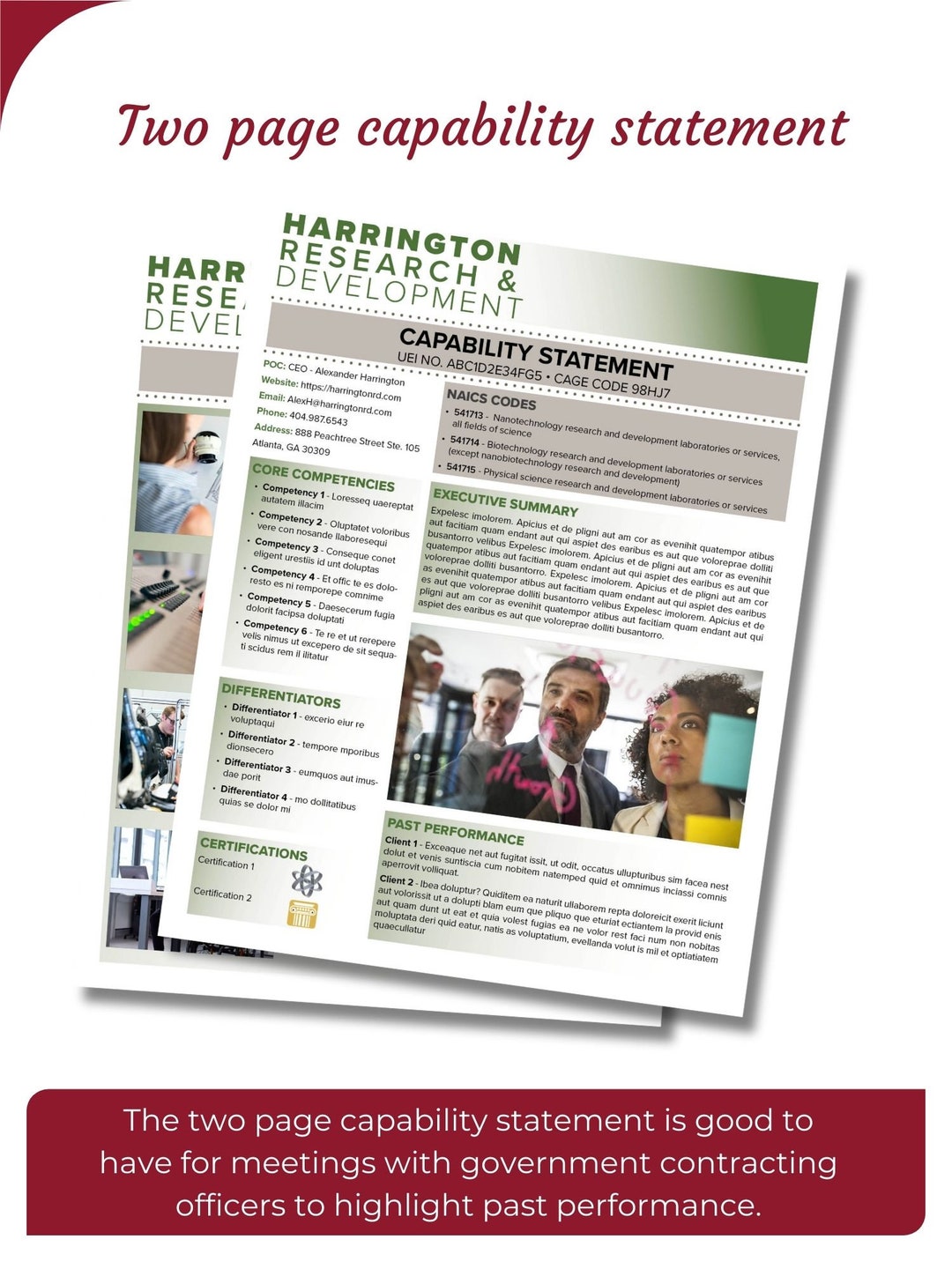 Government Capability Statement Template: Canva Editable Design - Etsy