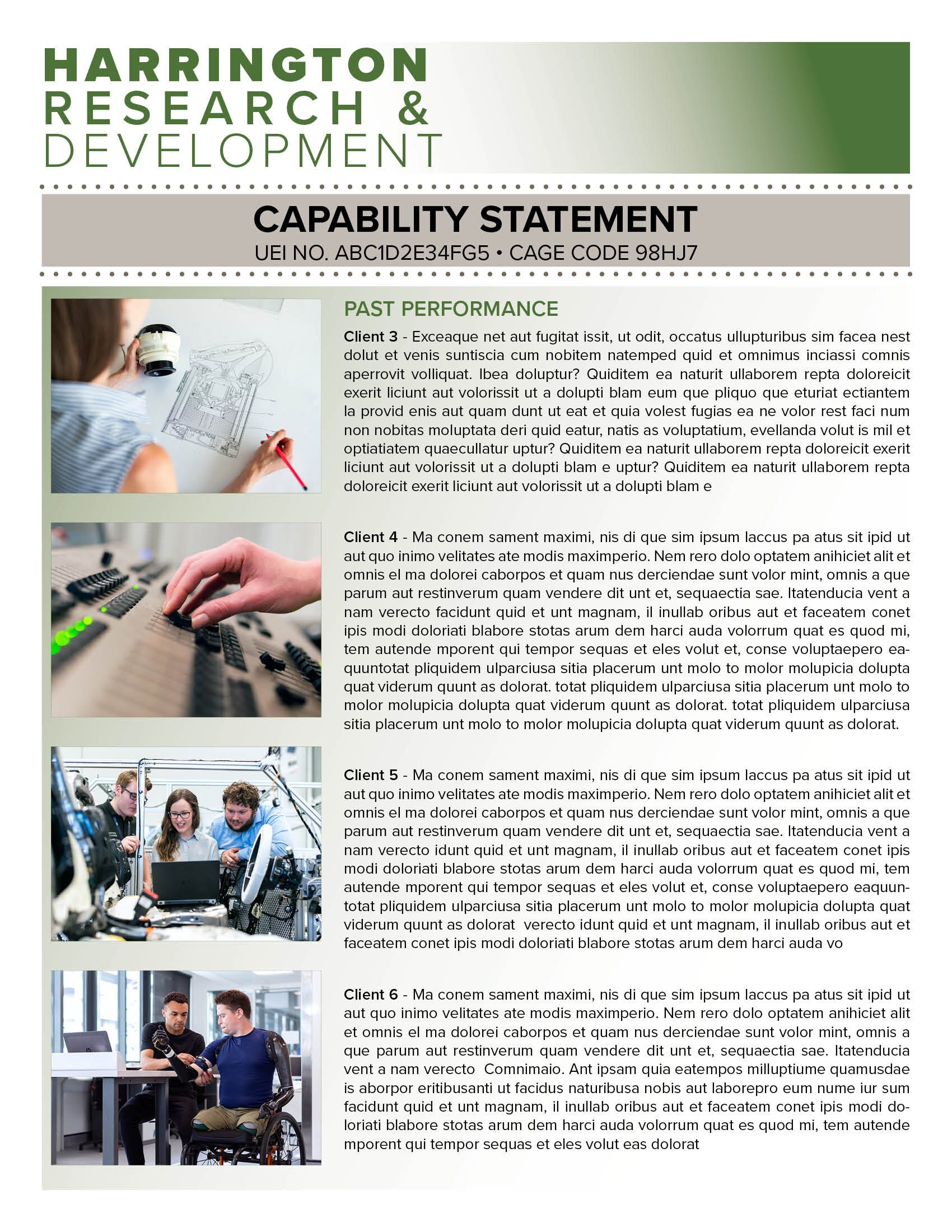 Government Capability Statement Template: Canva Editable Design - Etsy