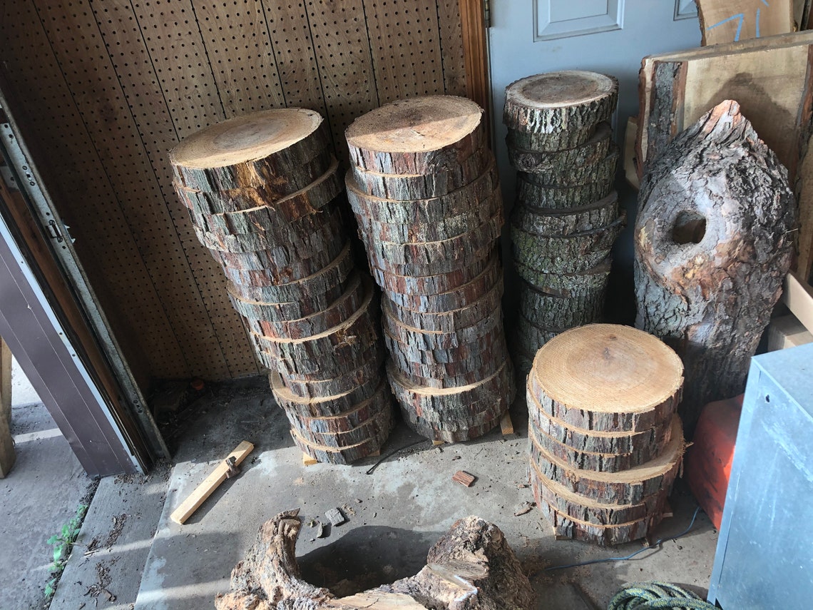 Live Edge Tree Slices Etsy