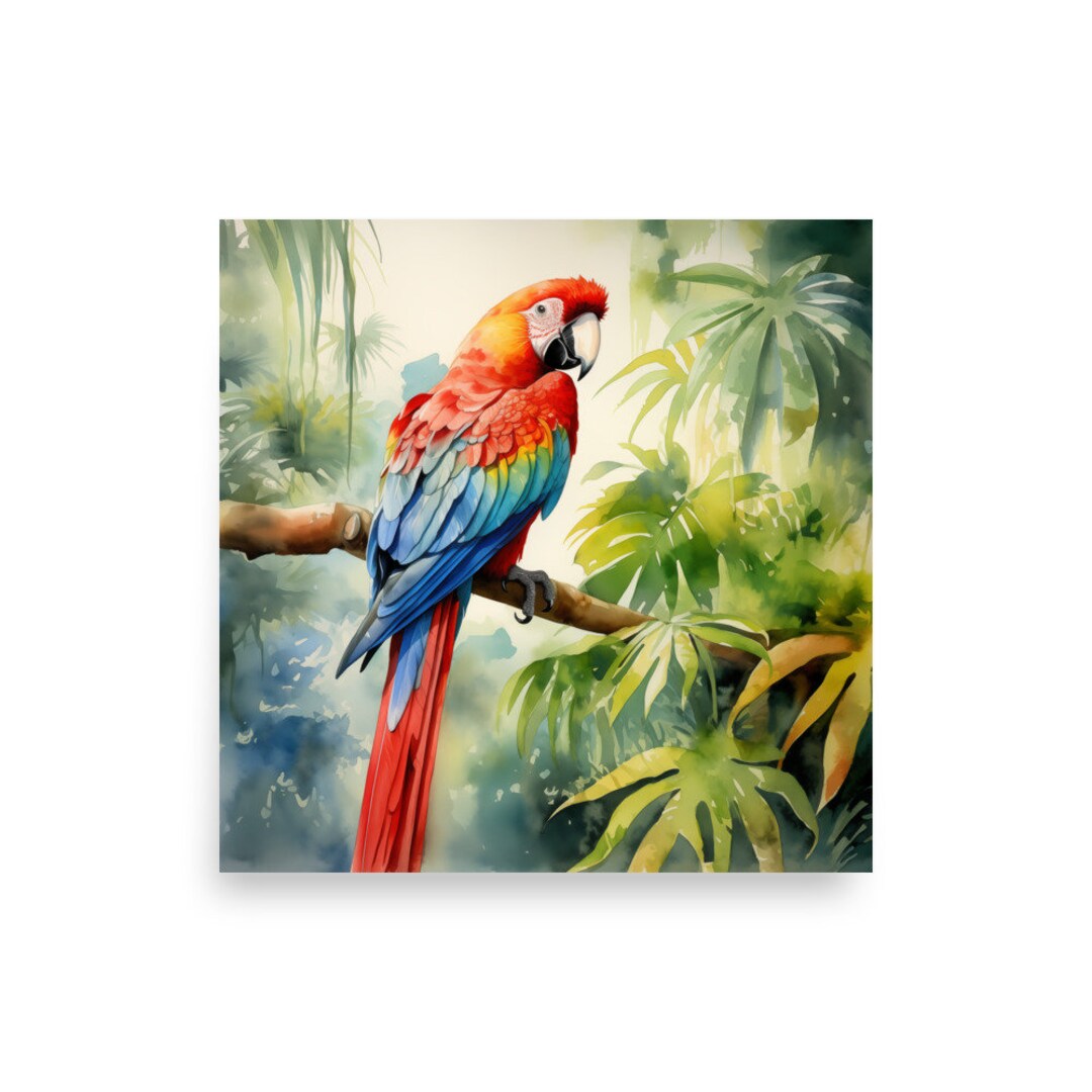 Red Macaw Parrot Art Print - 10x10, 12x12, 14x14, 16x16 & 18x18 Poster ...