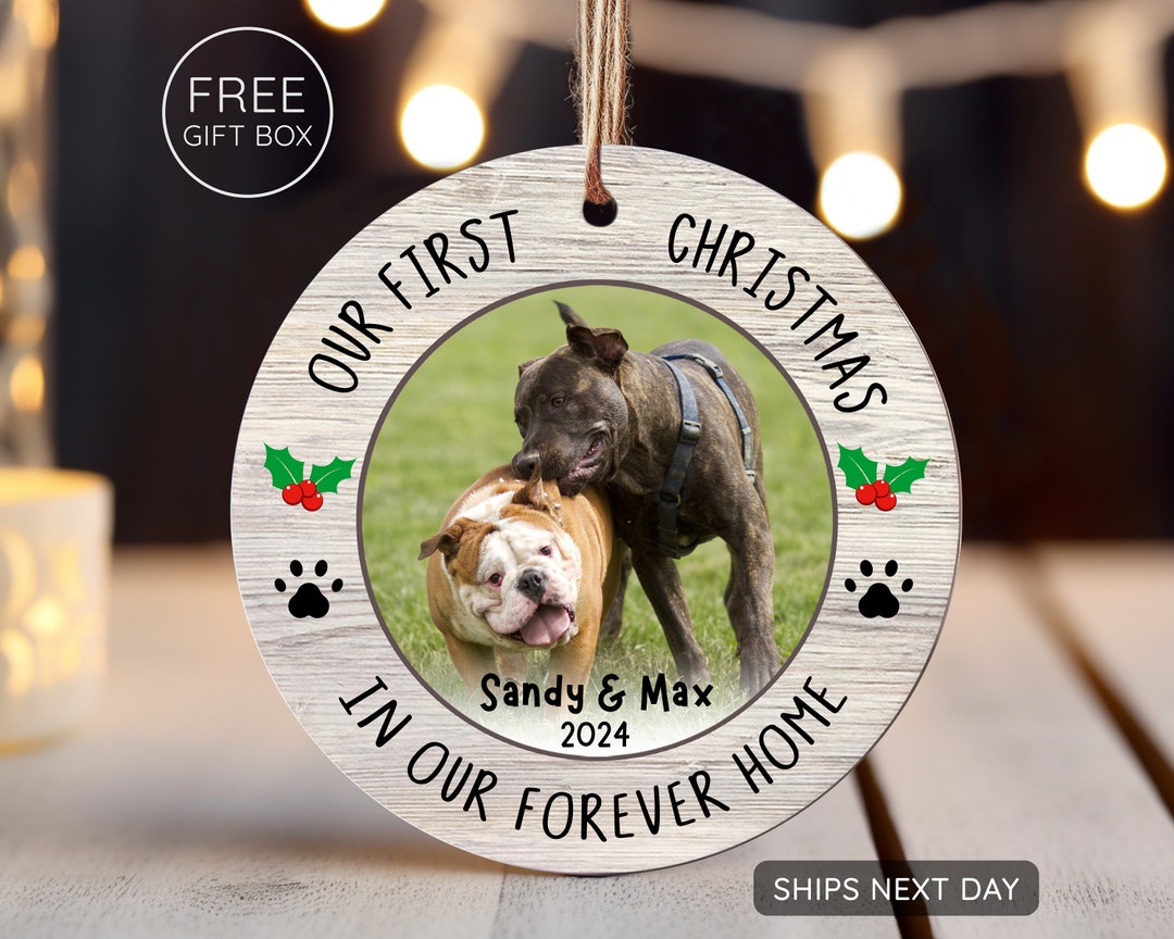 Our First Christmas in Our Forever Home - Custom Puppies First ...