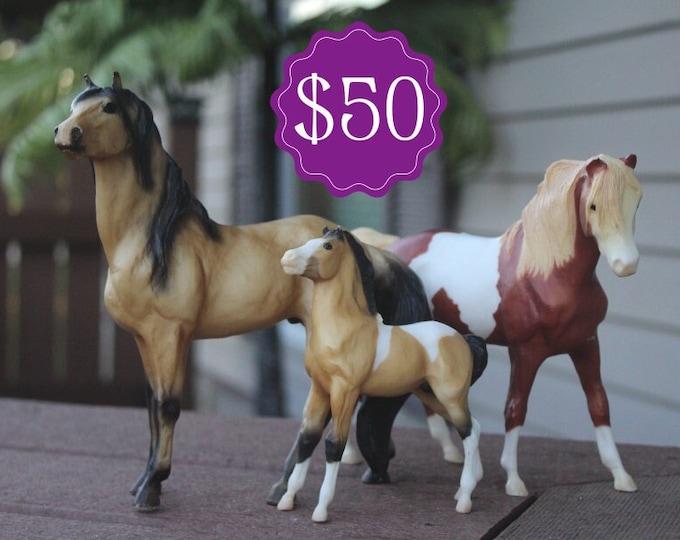 Spirit Kiger Mustang Breyer Family - Etsy