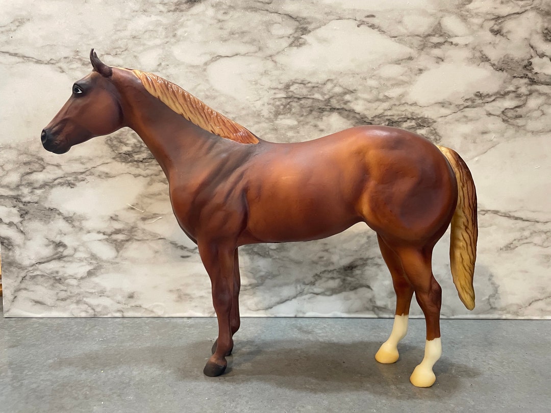 AQHA 75th Anniversary Edition *bent Ear - Etsy