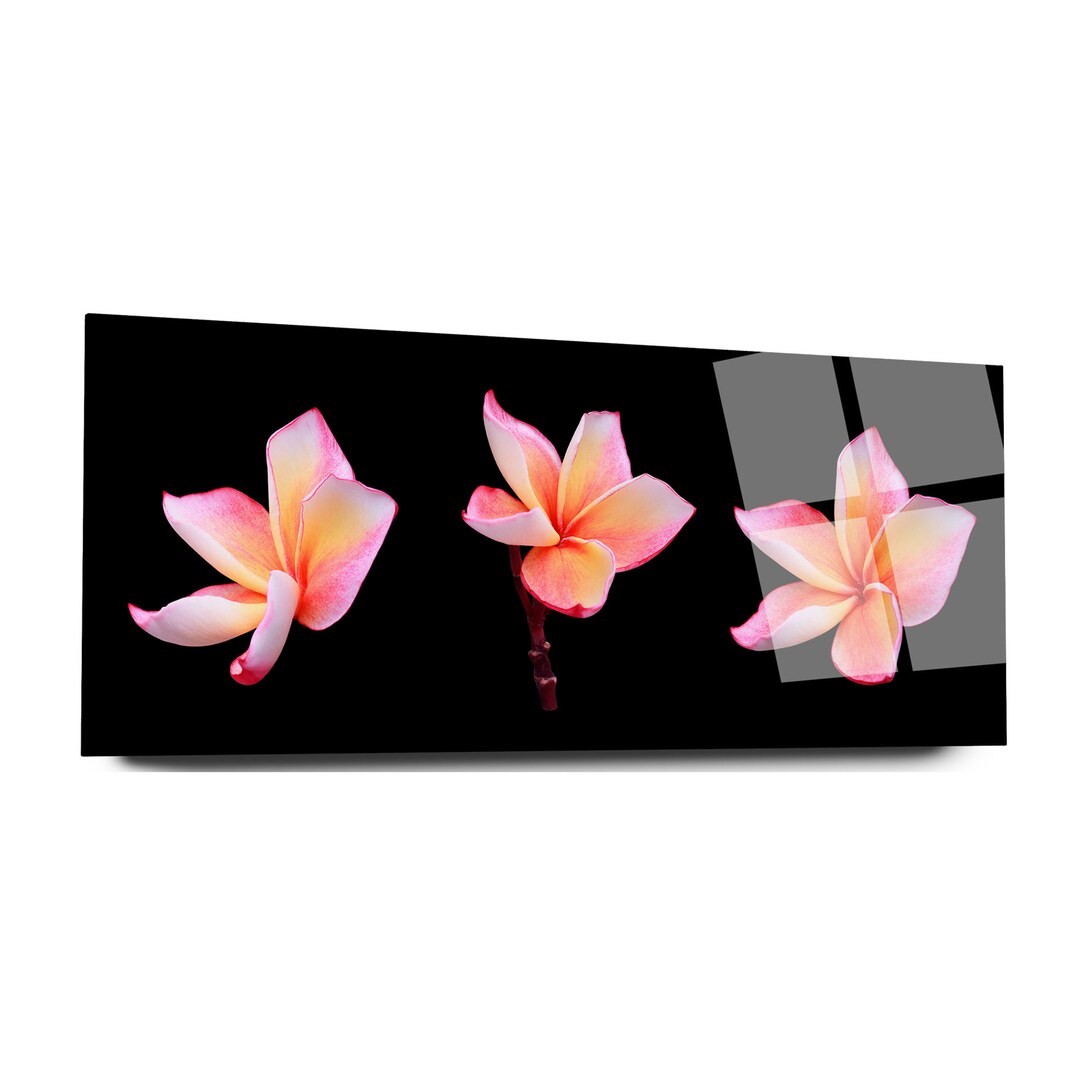 Flowers & Plants | Tempered Acrylic Glass Wall Décor | Art Decoration ...