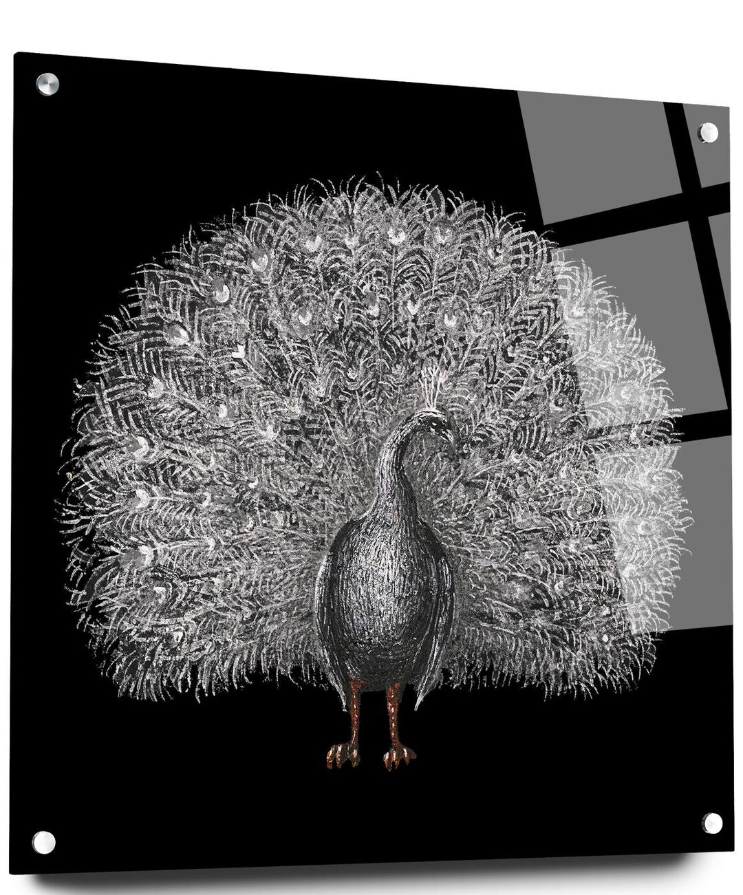 Animals | Tempered Acrylic Glass Wall Décor | Art Decoration for Home ...