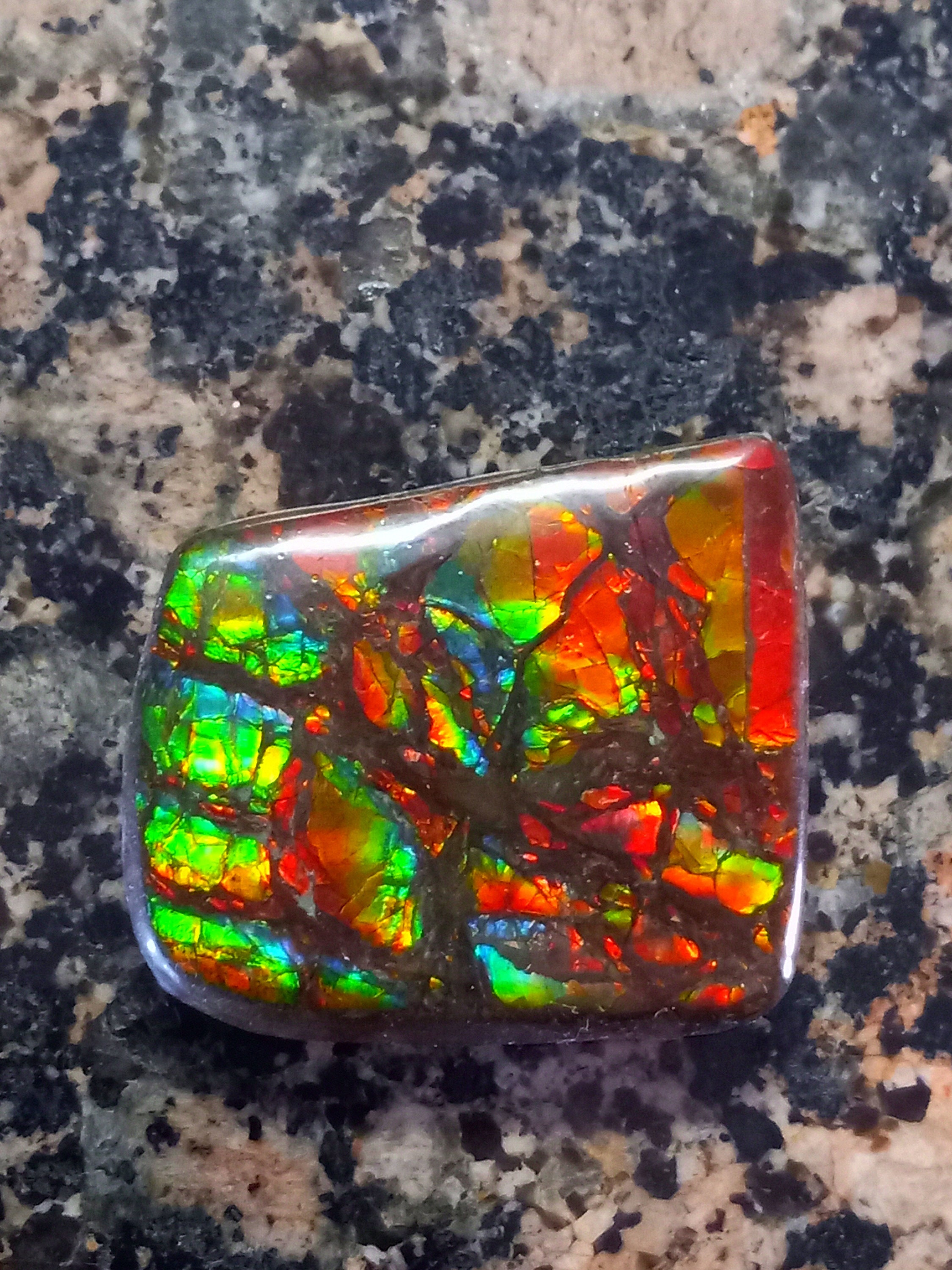 Canadian Ammolite Natural Polished/coated,loose Gemstone RAINBOW Colors ...