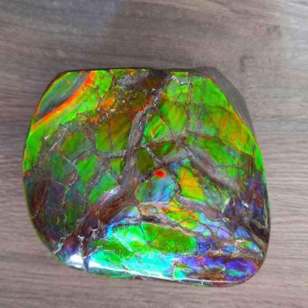 Canadian Ammolite - Etsy