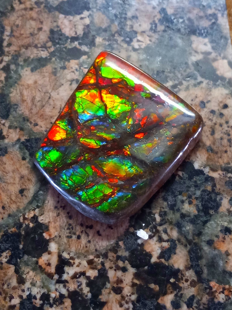 Canadian Ammolite Natural Polished/coated,loose Gemstone RAINBOW Colors ...