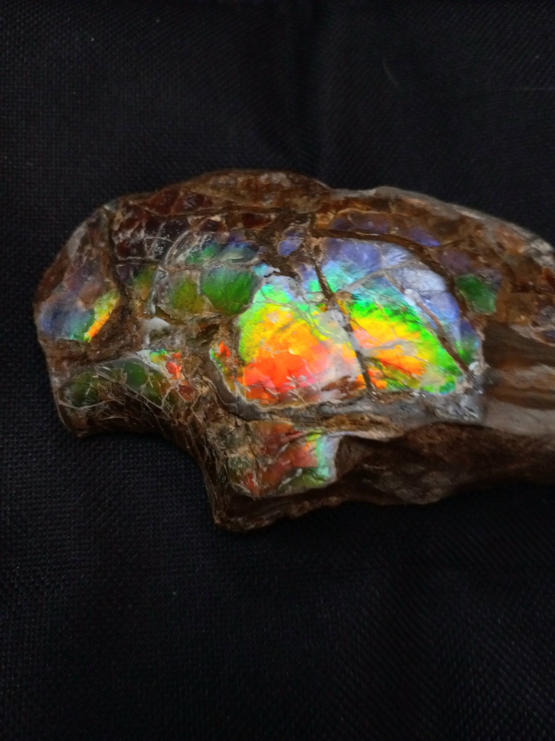Natural Canadian Ammolite Gemstone Rough Double Sided - Etsy