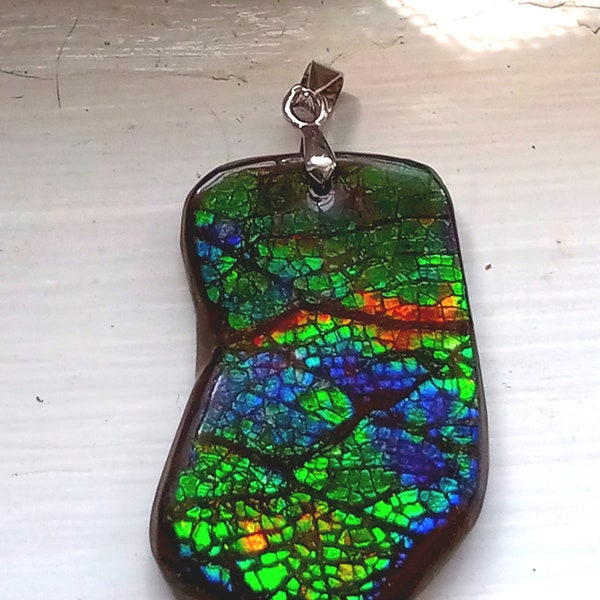 Canadian Ammolite - Etsy