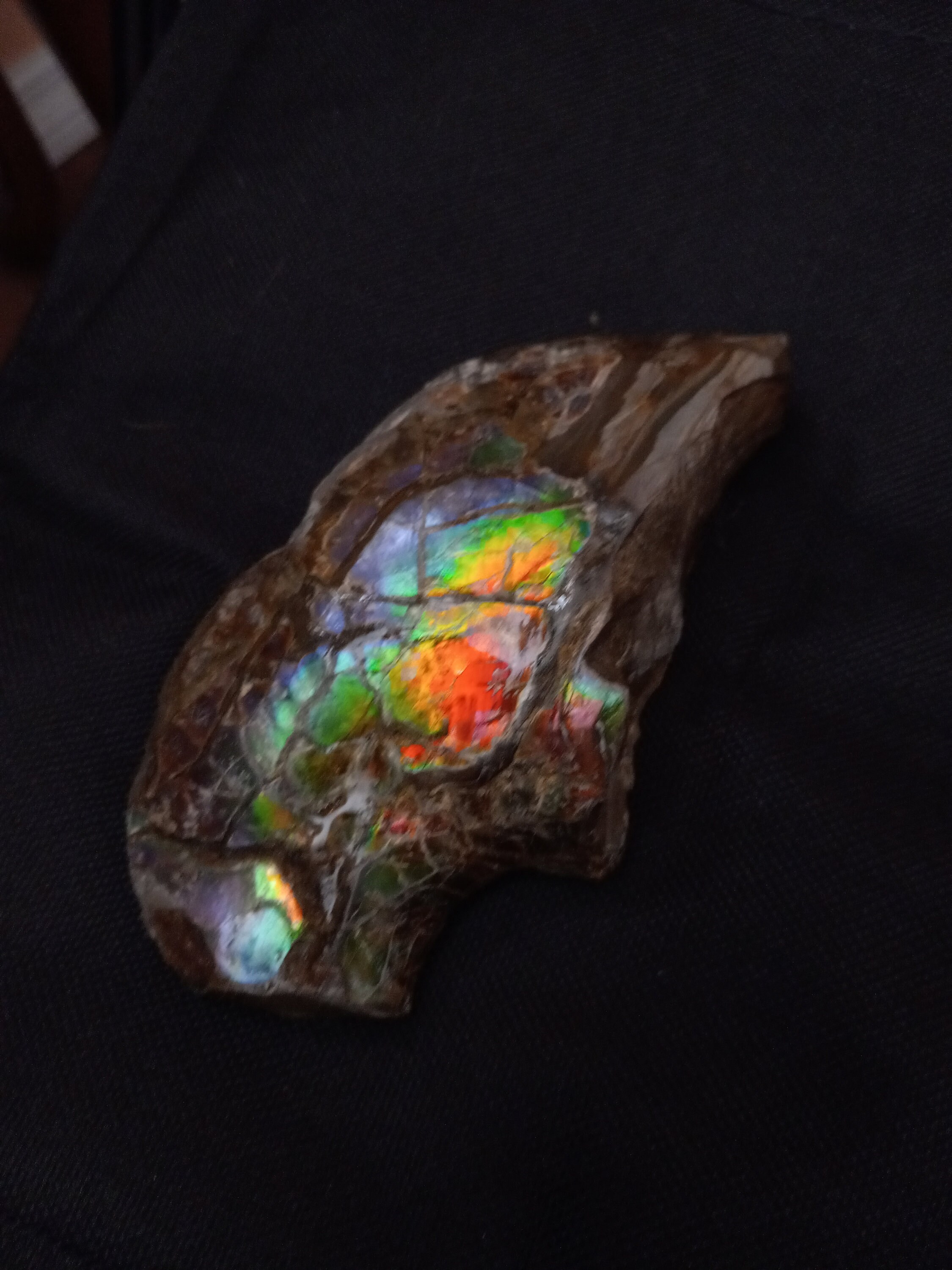 Natural Canadian Ammolite Gemstone Rough Double Sided - Etsy