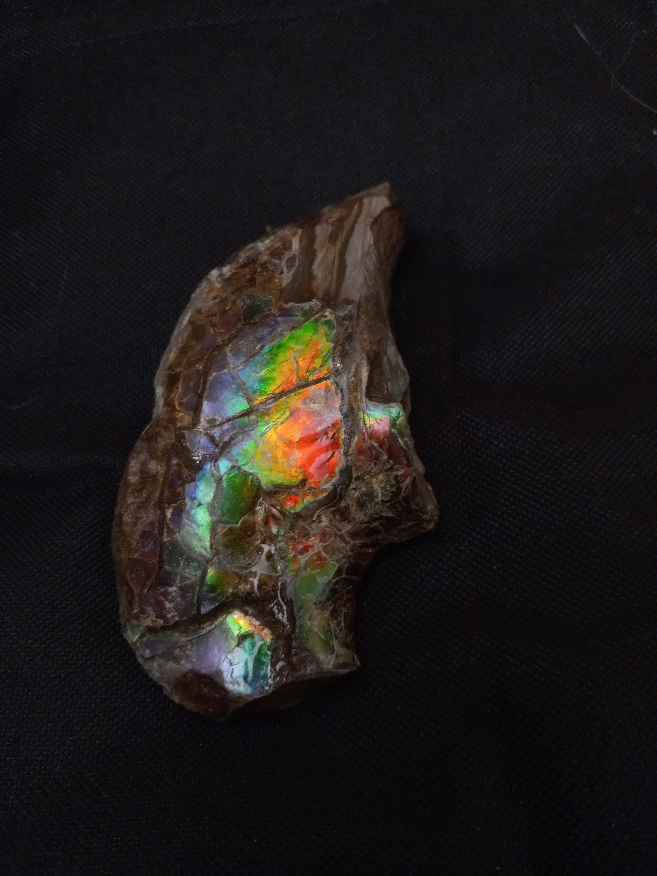 Natural Canadian Ammolite Gemstone Rough Double Sided - Etsy