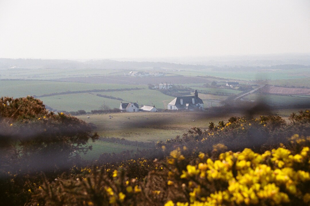 Giant's Causeway Coastal Scene - Etsy
