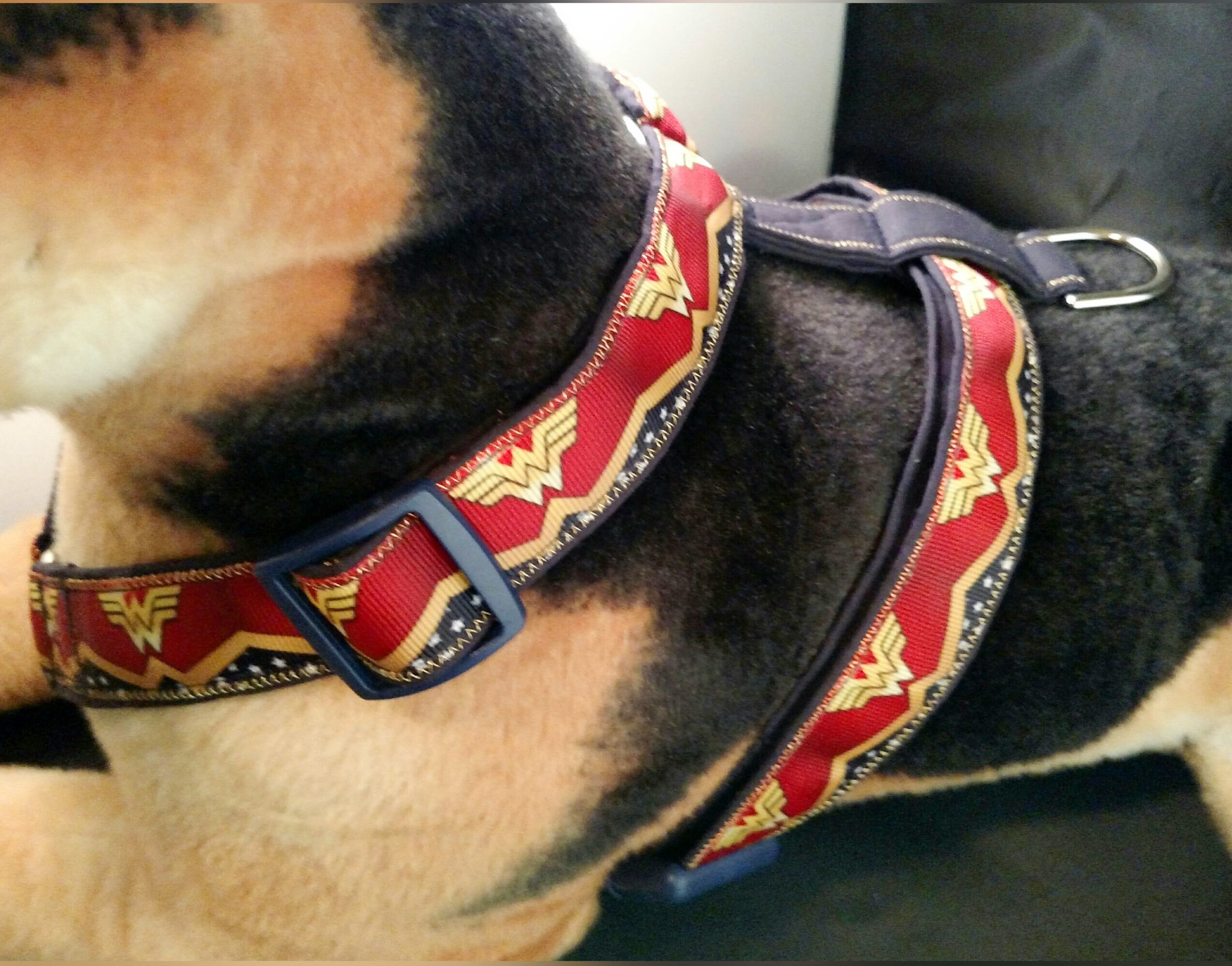 Wonder Woman Dog Harness - Etsy
