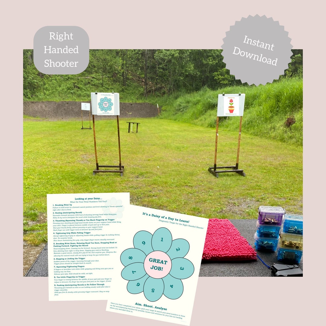 Daisy Diagnostic Target- Right Handed Shooter - Etsy