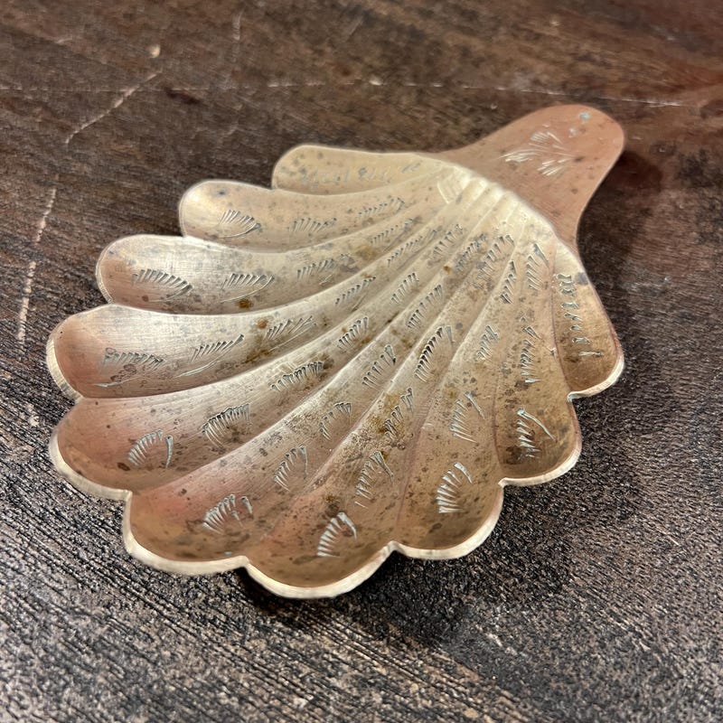 Shell Soap Dish - Etsy