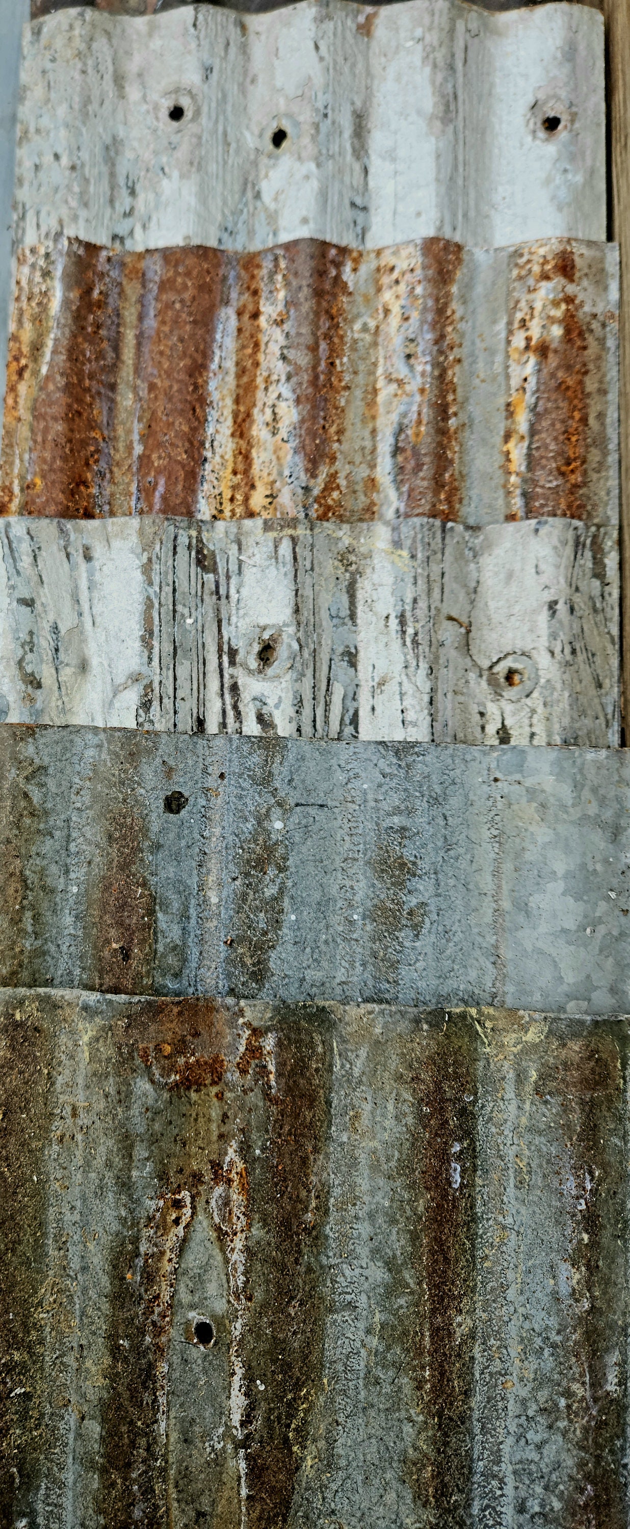 Rusty Corrugated Metal Sheet: Salvaged Barn Tin, Wall Decor (12"x12 ...