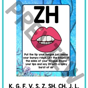 Speech Therapy Room Decor | Ocean Theme Under the Sea - Etsy